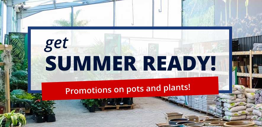 Home page [www.halsteds.co.zw]